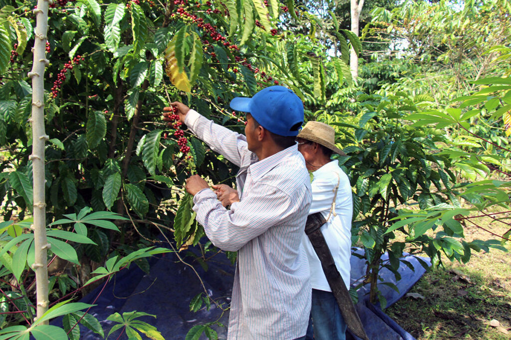 Protección de los recursos naturales, la lucha de todos - El Faro ...