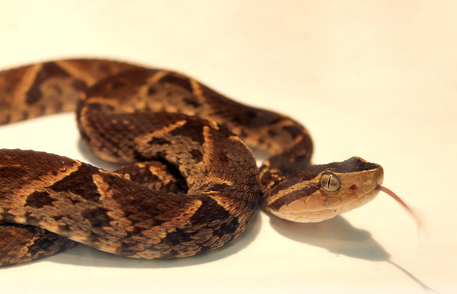 Una Equis en el camino - El Faro | Canal de Panamá