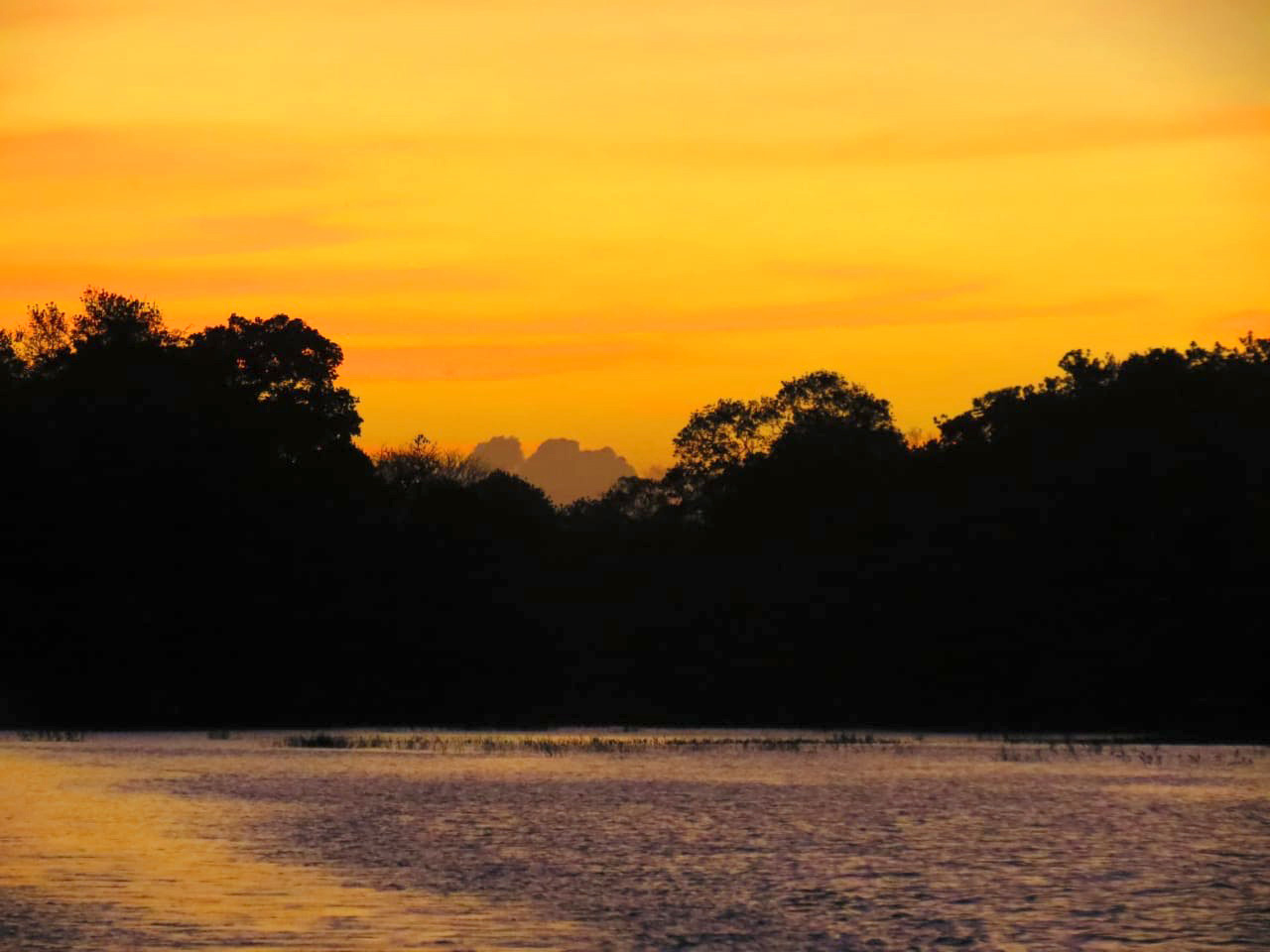 Chagres National Park: tomorrow's water source