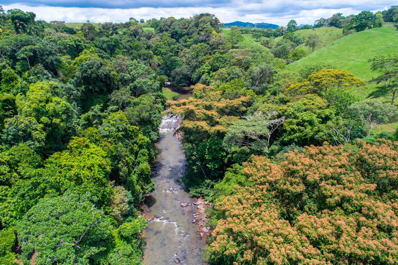 Para Bosques Y Paisajes De Sombra Bosques Con Encanto En España Para