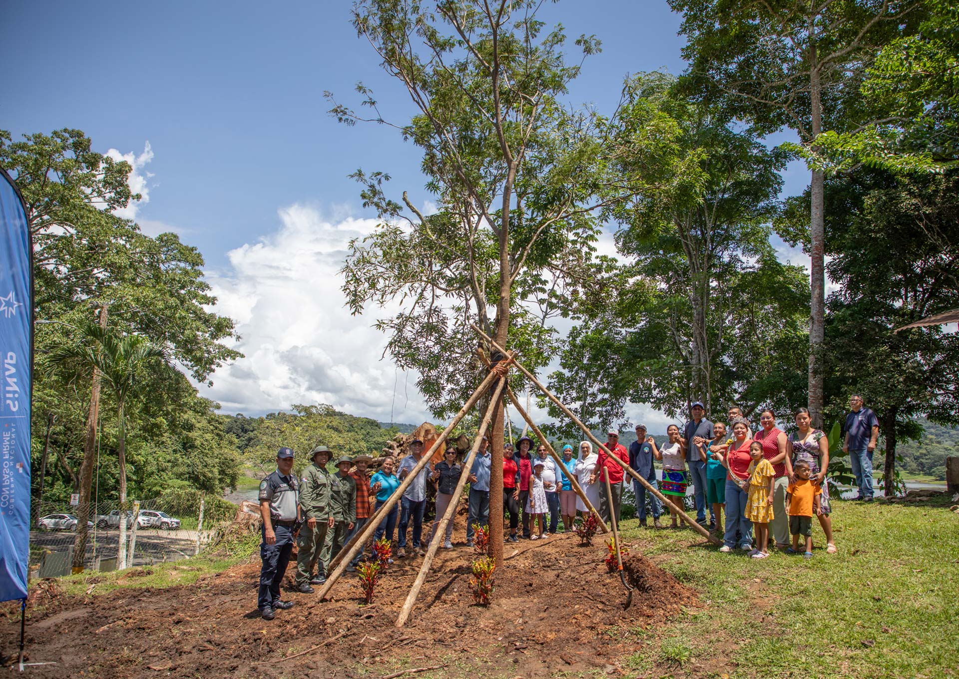 Un nuevo corotú: inicia un ciclo de vida - El Faro | Canal de Panamá